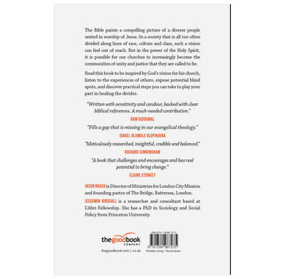 Healing the Divides - Jason Roach, Jessamin Birdsall | The Good Book ...