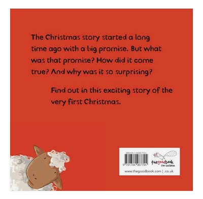 The Christmas Surprise - Steph Williams | The Good Book Company